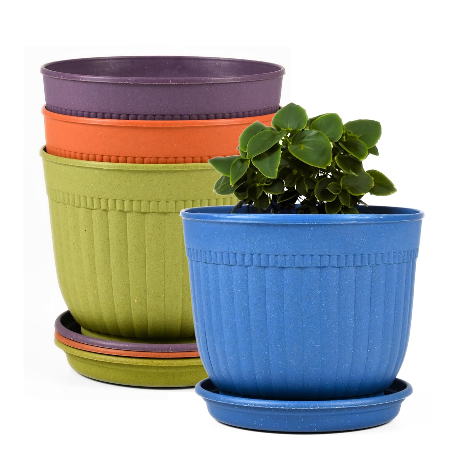Eha Earth Friendly Petal Pot 7 inch Pots for Plants | Bamboo Based ...