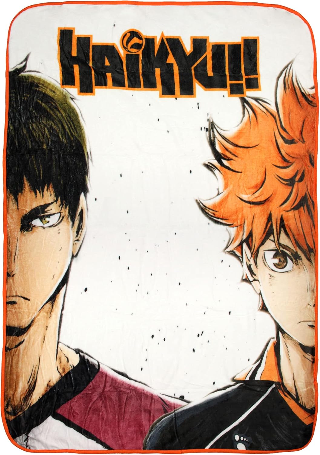 Amazon.com: Haikyu!! Anime Manga Shoyo Hinata and Wakatoshi Ushijimaa ...