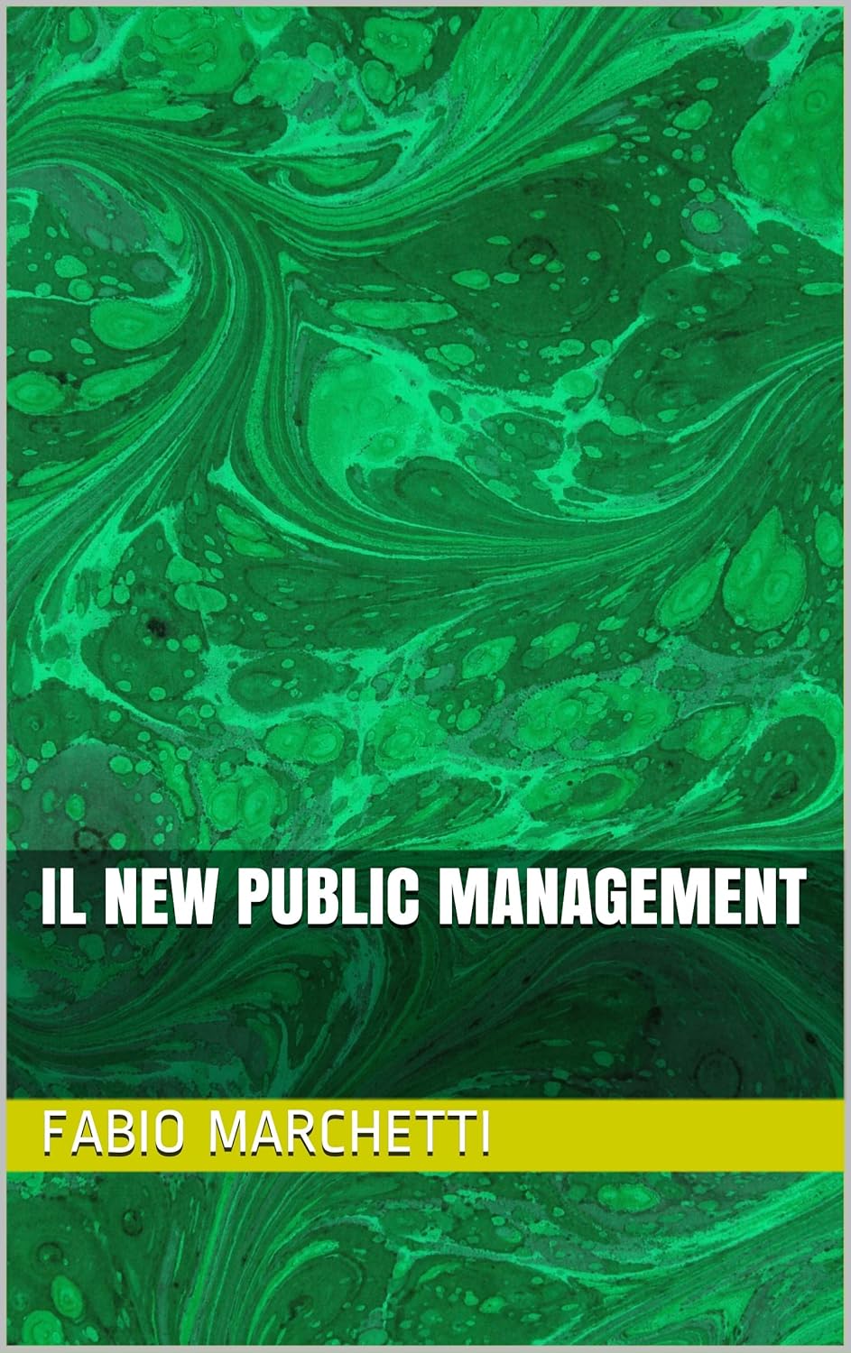 IL NEW PUBLIC MANAGEMENT eBook : MARCHETTI, FABIO: Amazon.it: Kindle Store
