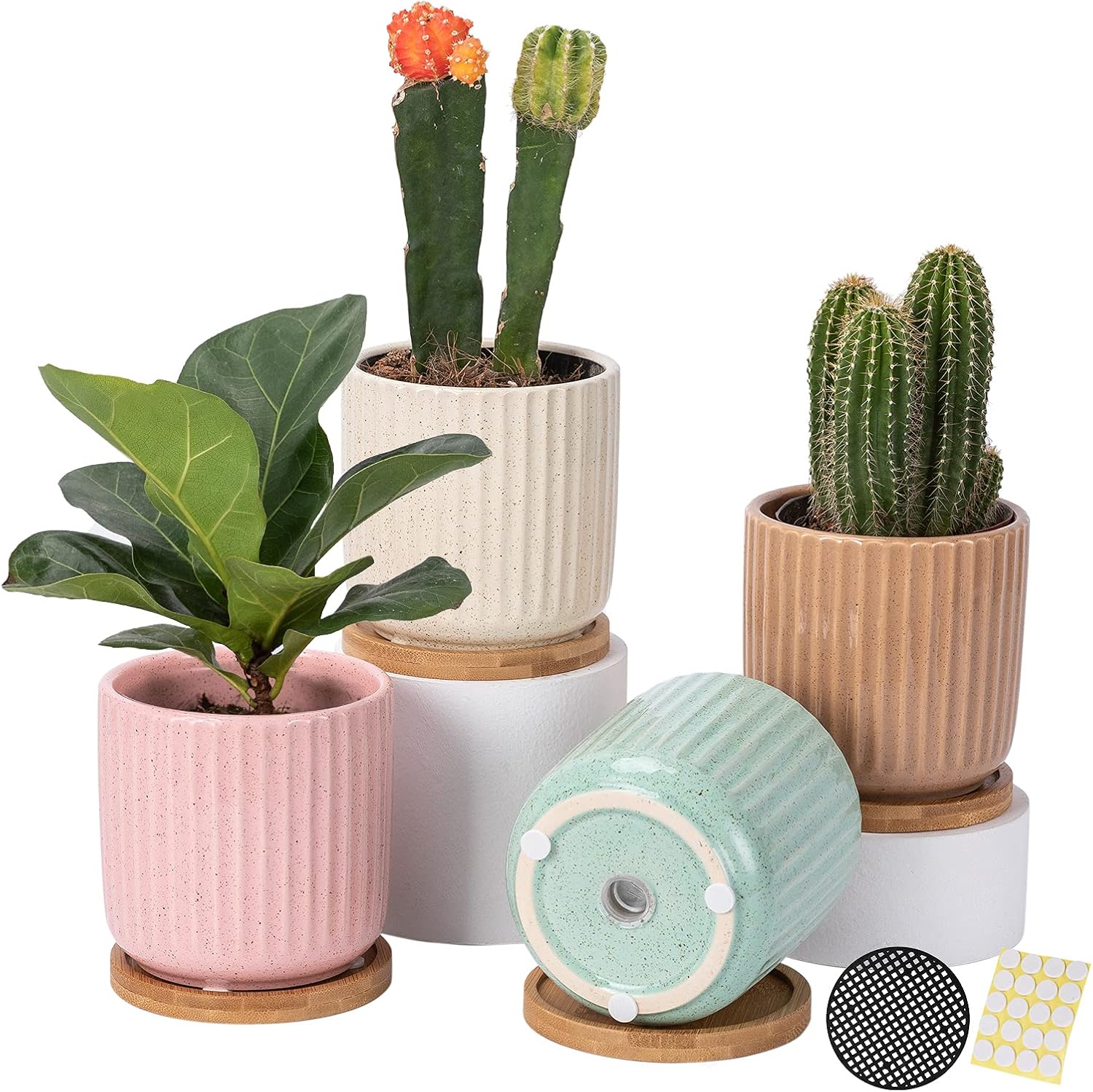 Amazon.com: OMAYKEY 4 Inch Ceramic Plant Pot with Saucer, Adorable ...