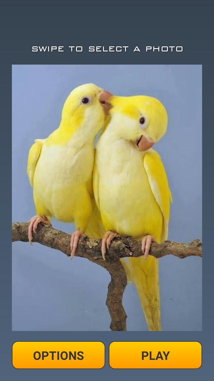 Cute Birds Puzzle - App on Amazon Appstore