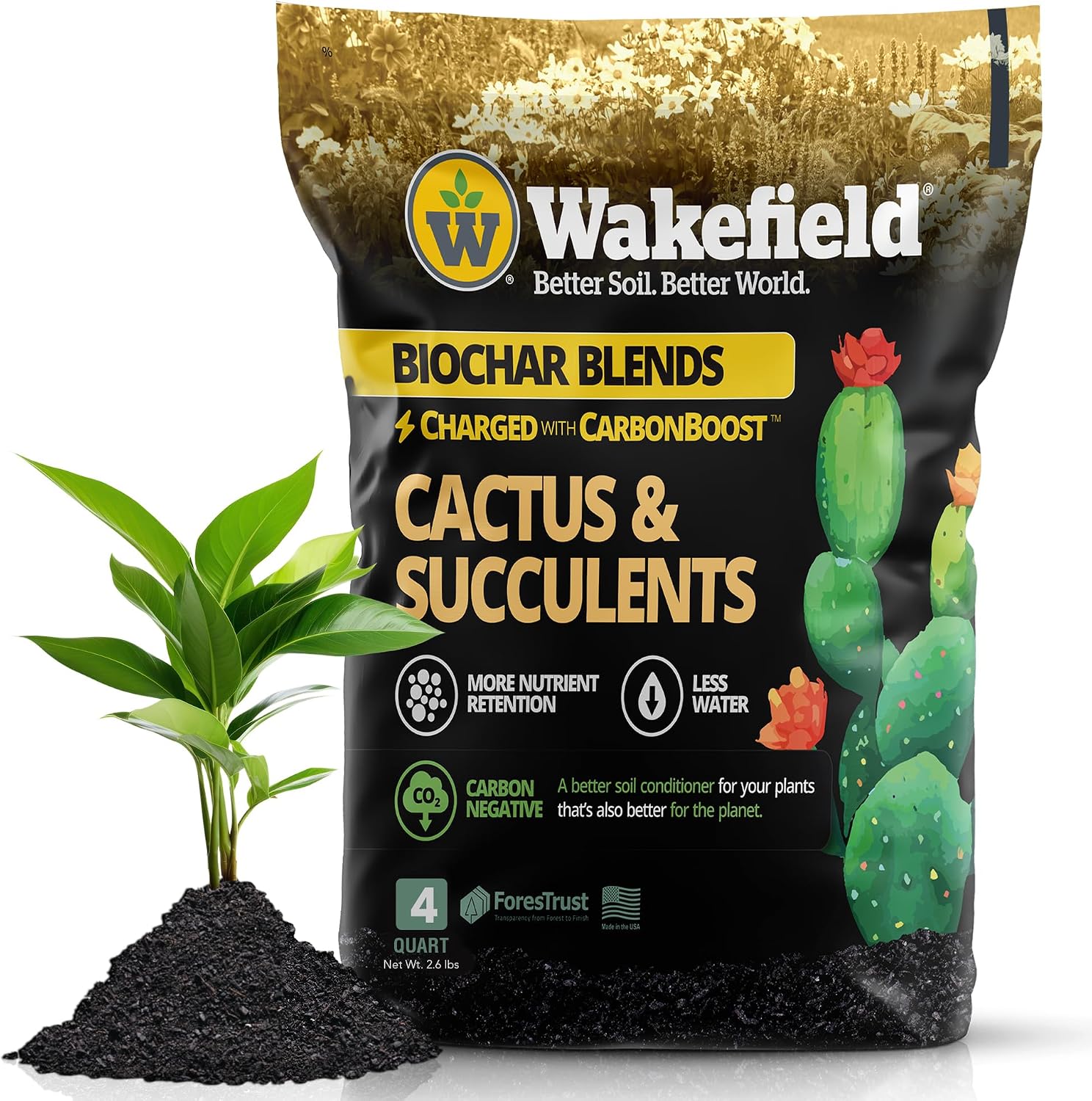 Amazon.com : Wakefield Biochar for Cactus & Succulent –Potting Soil Mix ...