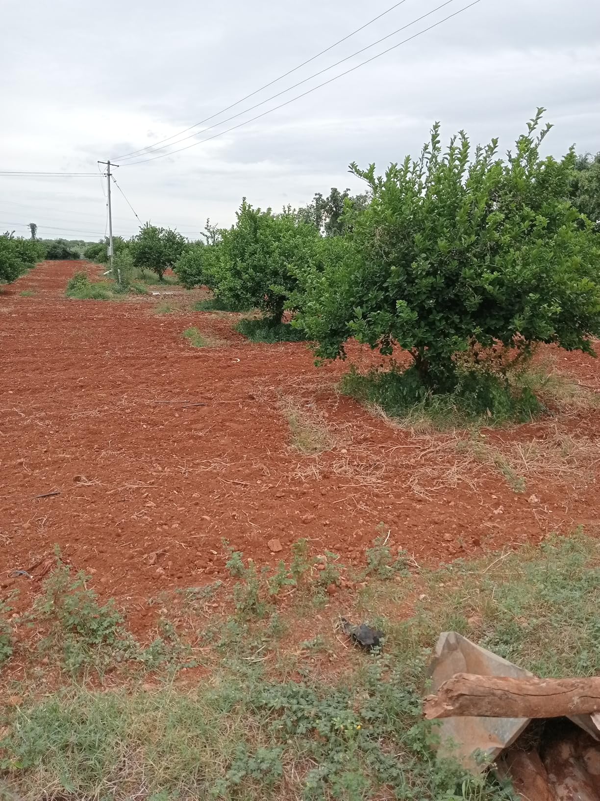 AMWAY APSA-80 ALL PURPOSE SPRAY ADJUVANT CONCENTRATE FOR PLANTS AND ...