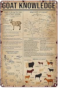 Amazon.com: Goat Decorations Farmhouse Goat Signs for Barn Goat Signs ...