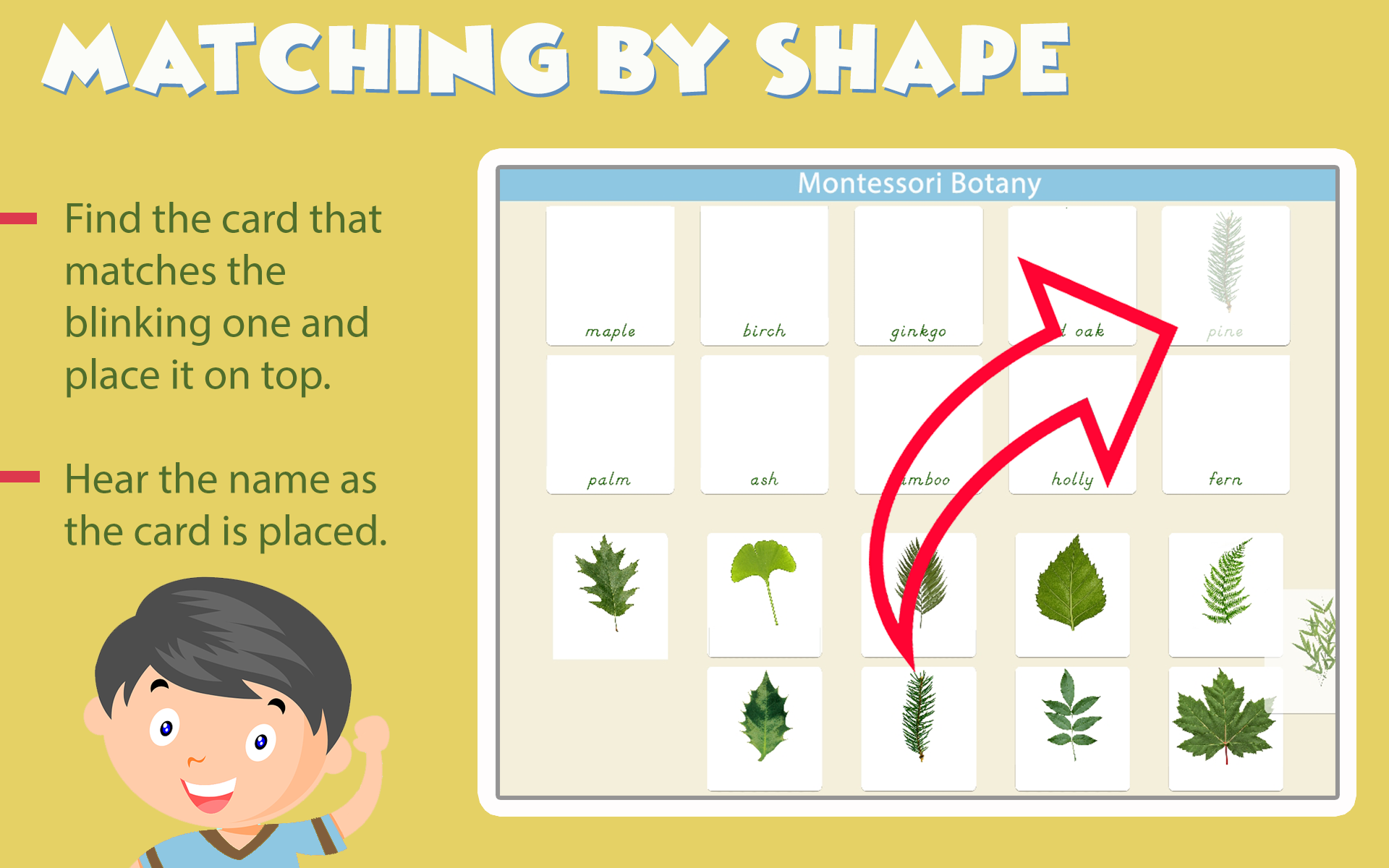 Montessori Botany - Parts of Plants - App on Amazon Appstore