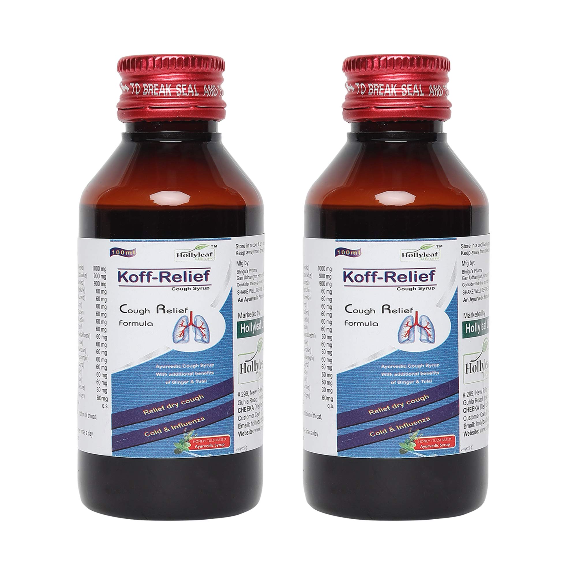 Buy Hollyleaf lifecare Koff- , with additional benefits of Ginger ...