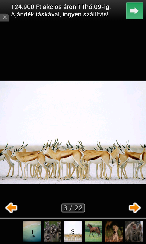 Animal Pictures App 3:Amazon.com:Appstore for Android