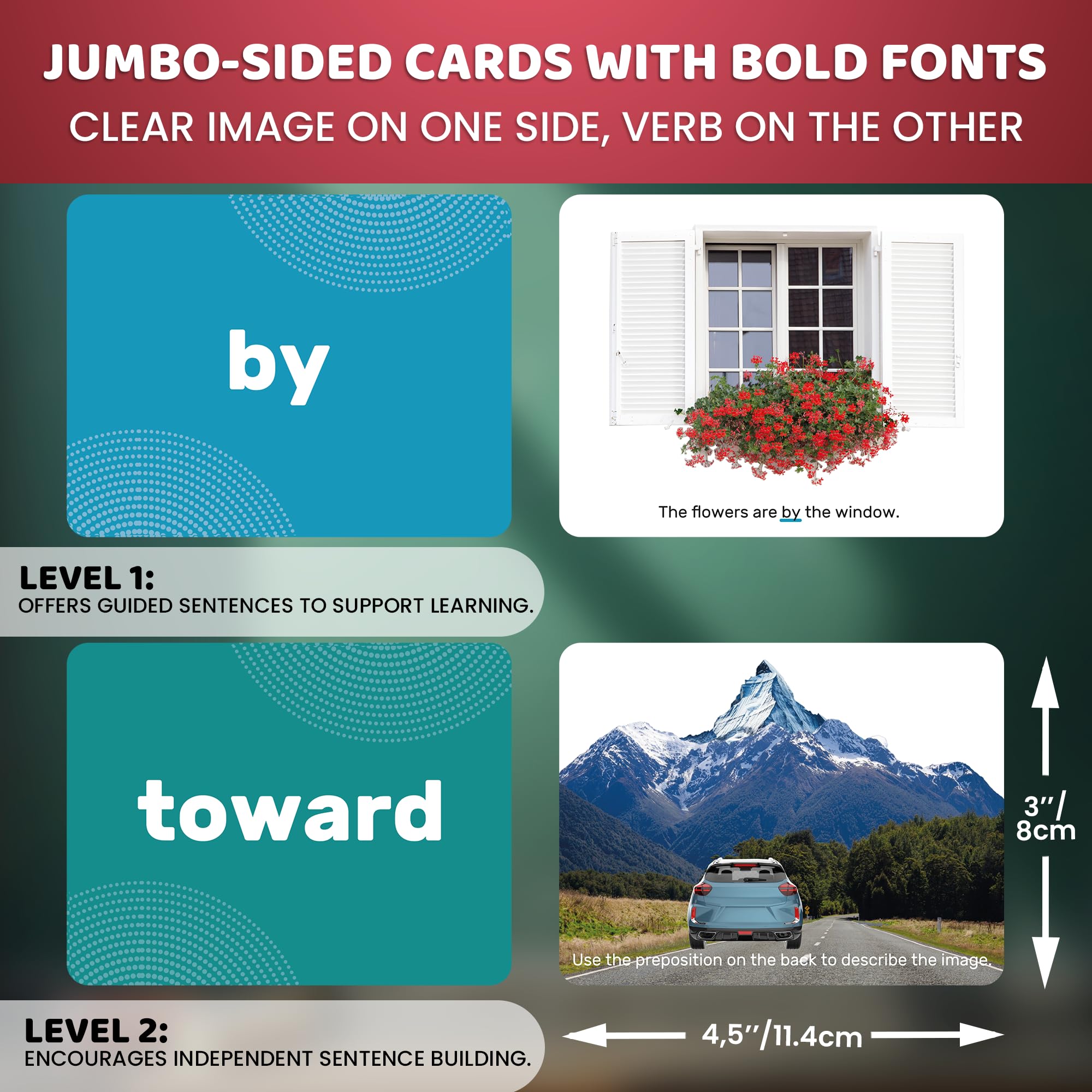 Snapklik.com : QUOKKA Vine 104 Flash Cards For Kids And Adults - Real ...