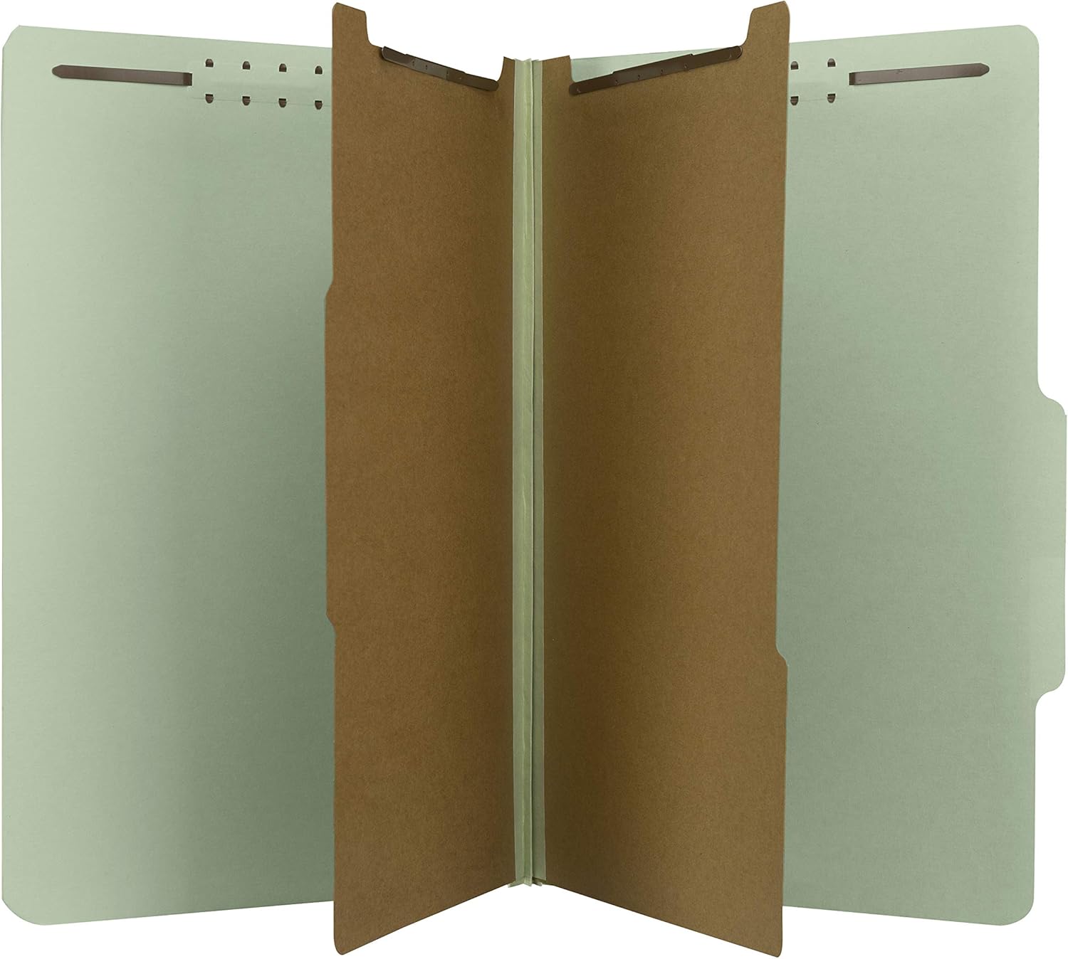 Amazon.com : The File King Pressboard Classification Pale Green ...