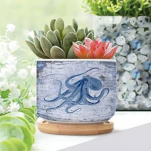 Amazon.com: WoGuangis Sea Coastal Ocean Theme Octopus Ceramic Planters ...