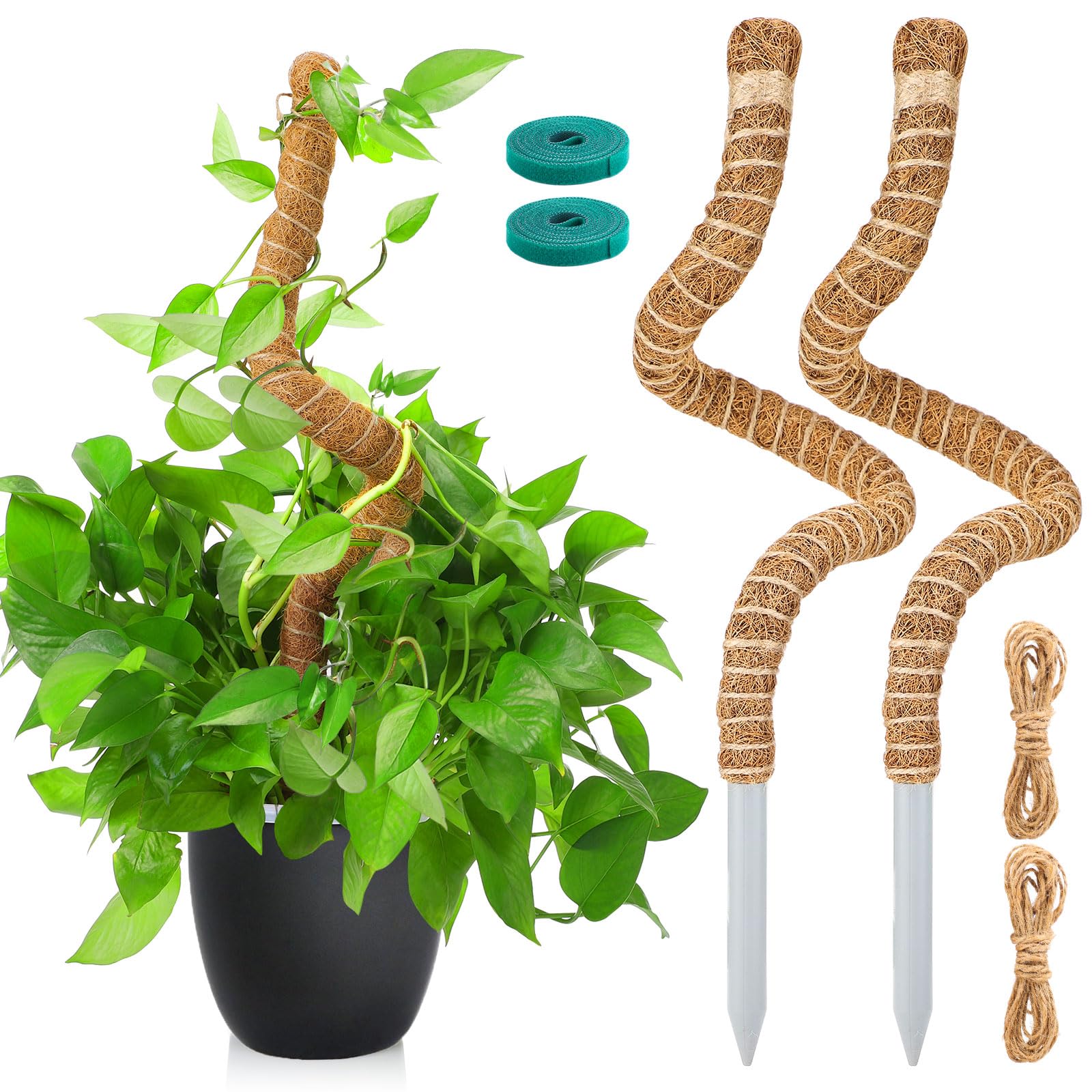 2 PCS 24 Inches Tall Moss Poles, Bendable Plant Poles for Climbing ...