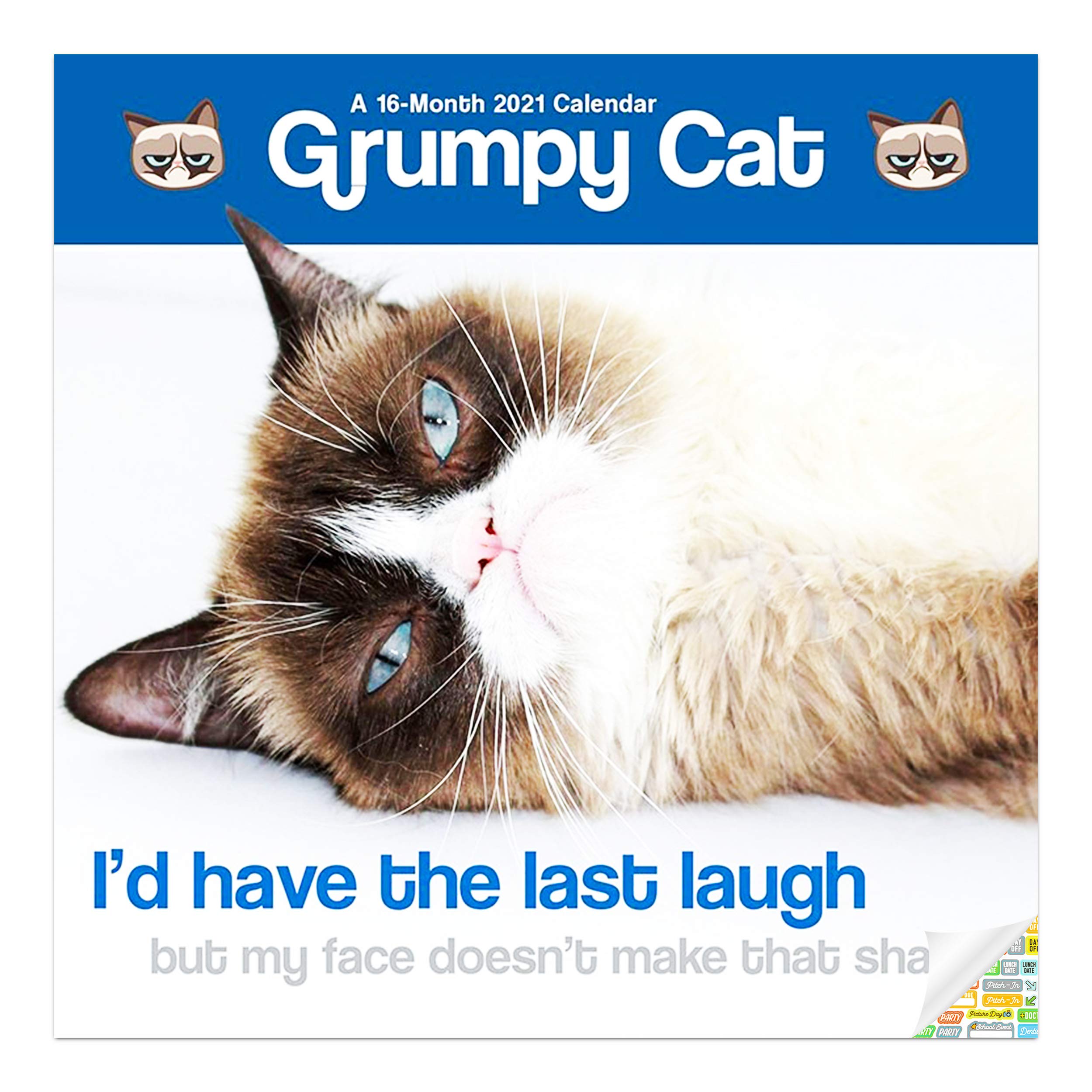 Grumpy Cat School Meme Grumpy Cat 2024 Wall Calendar – Chronicle