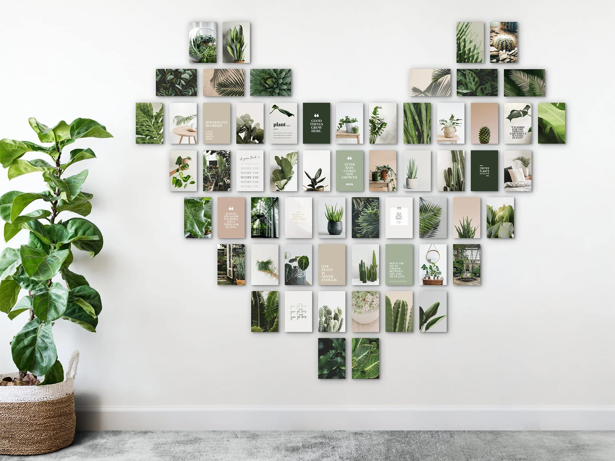 Plants Collage