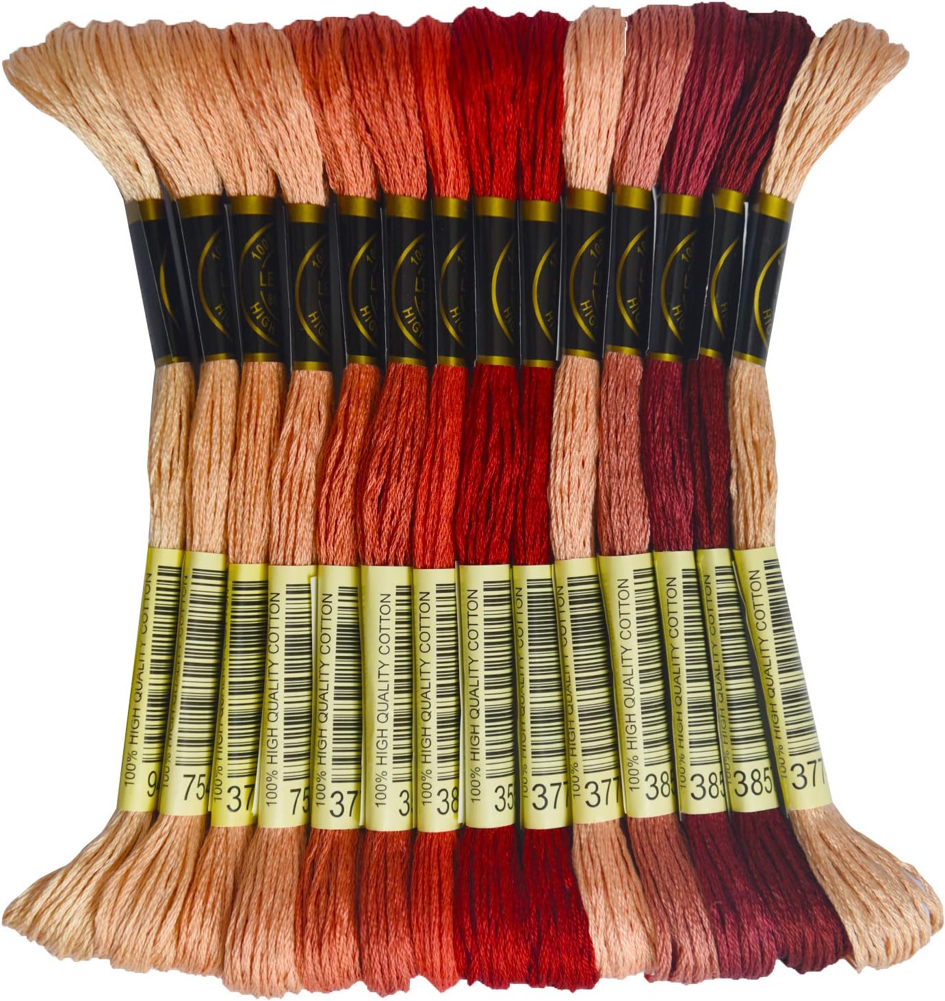 Amazon.com: Premium Rainbow Color Embroidery Floss - Cross Stitch ...