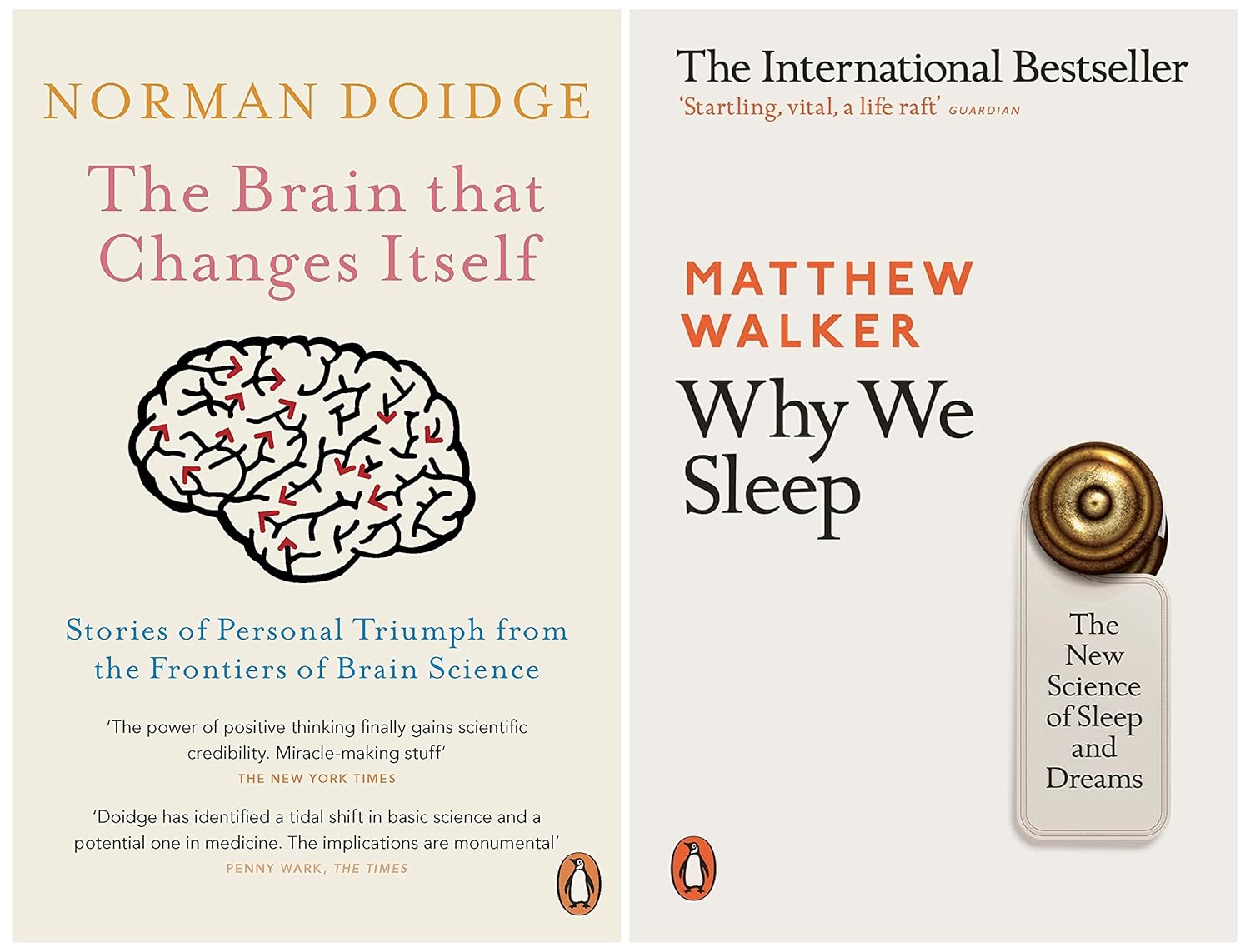 Buy The Brain That Changes Itself: Stories of Personal Triumph from the ...