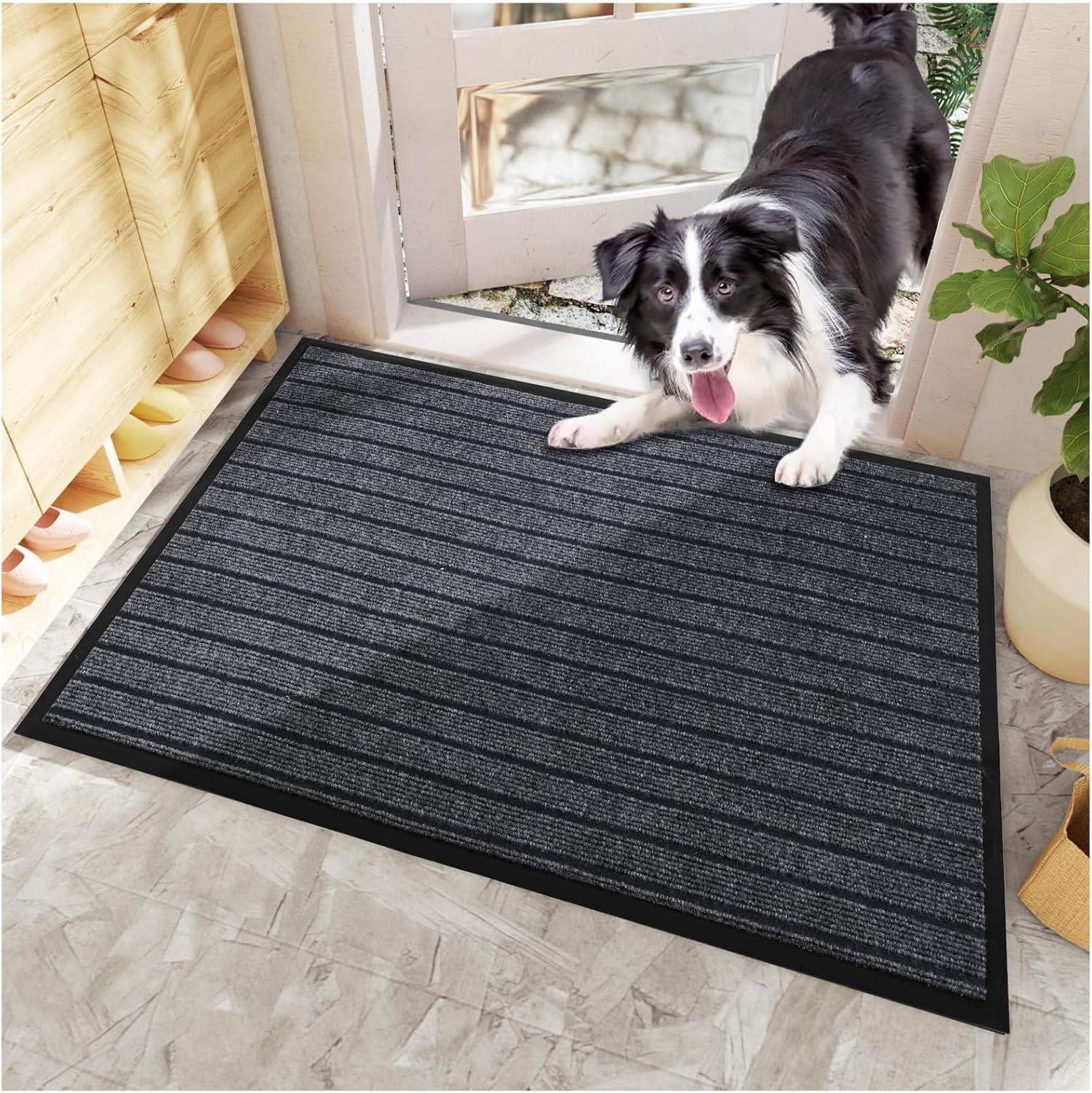 Amazon.com : LWYYQB Dog Door Mat for Muddy Paws, Stain and Fade ...