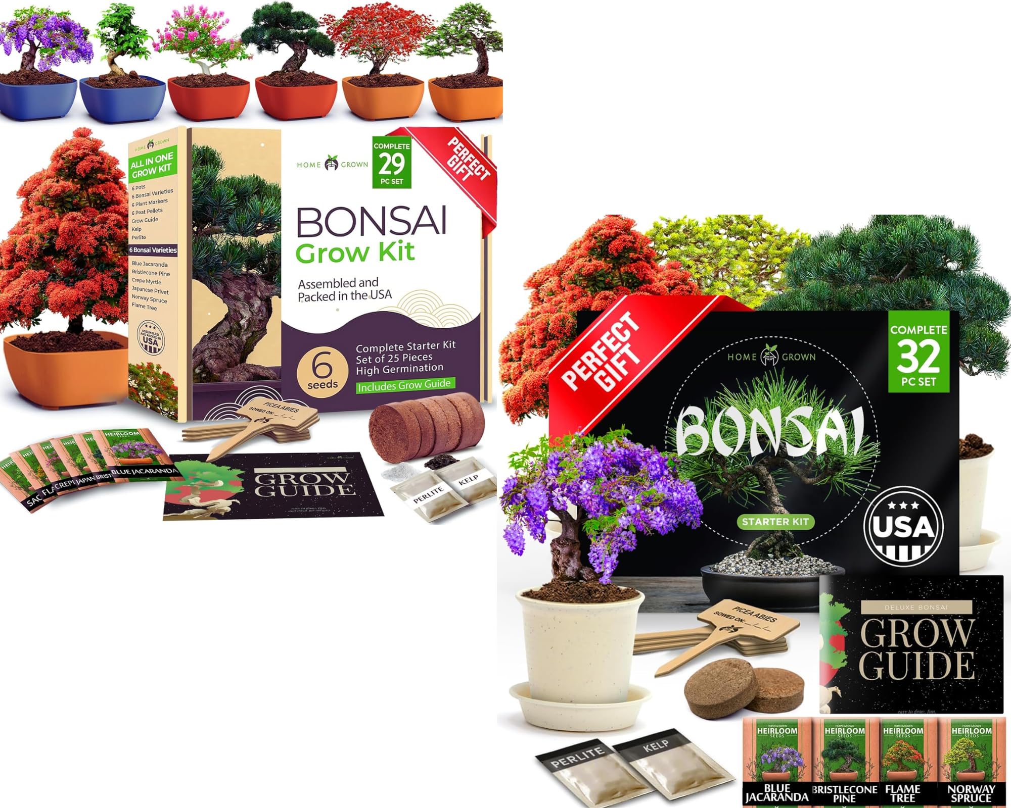 Amazon.com: Bonsai Grow 4 Bonsai Trees - Bonsai Starter Kit w/ 6 Seed ...