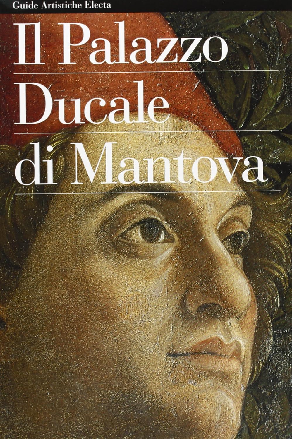 Amazon.in: Buy Il Palazzo ducale di Mantova (Guide artistiche Electa ...