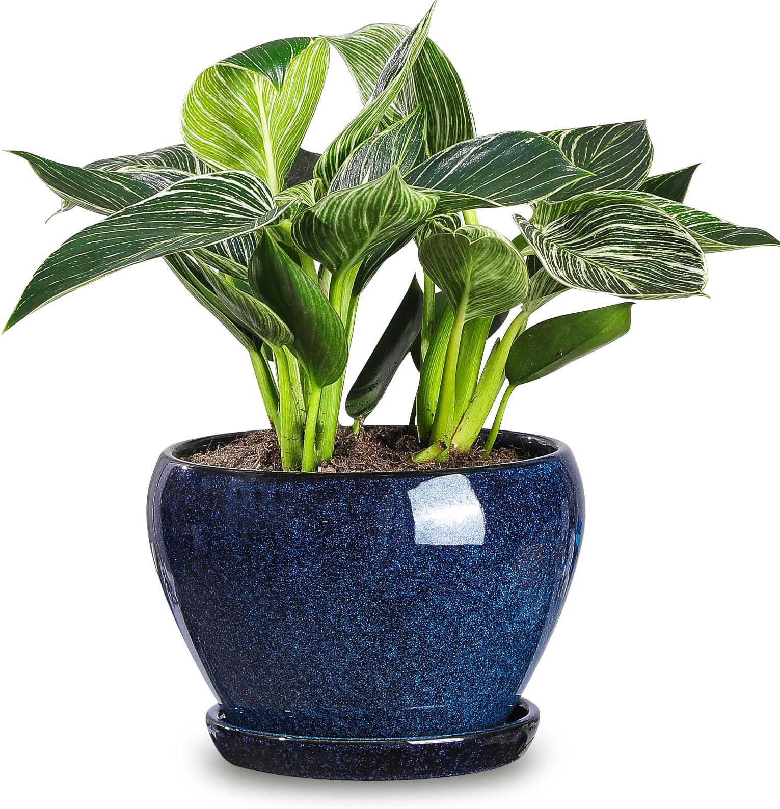 Ivyline 136349 turquoise Pot Como, 18x18x15 cm : Amazon.co.uk: Garden