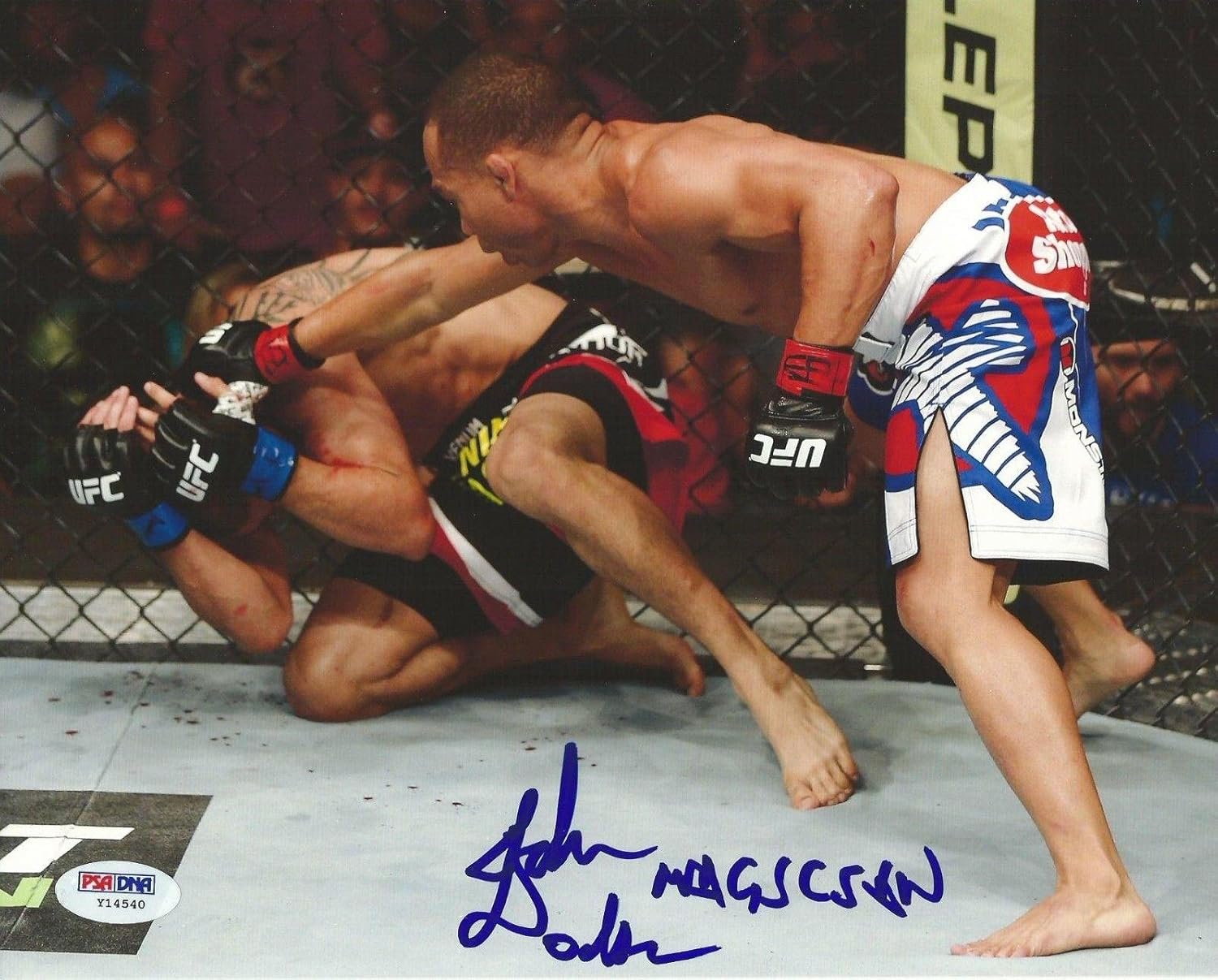 John Dodson Signed UFC 8x10 Photo COA Picture Autograph on Fox 3 6 166 ...