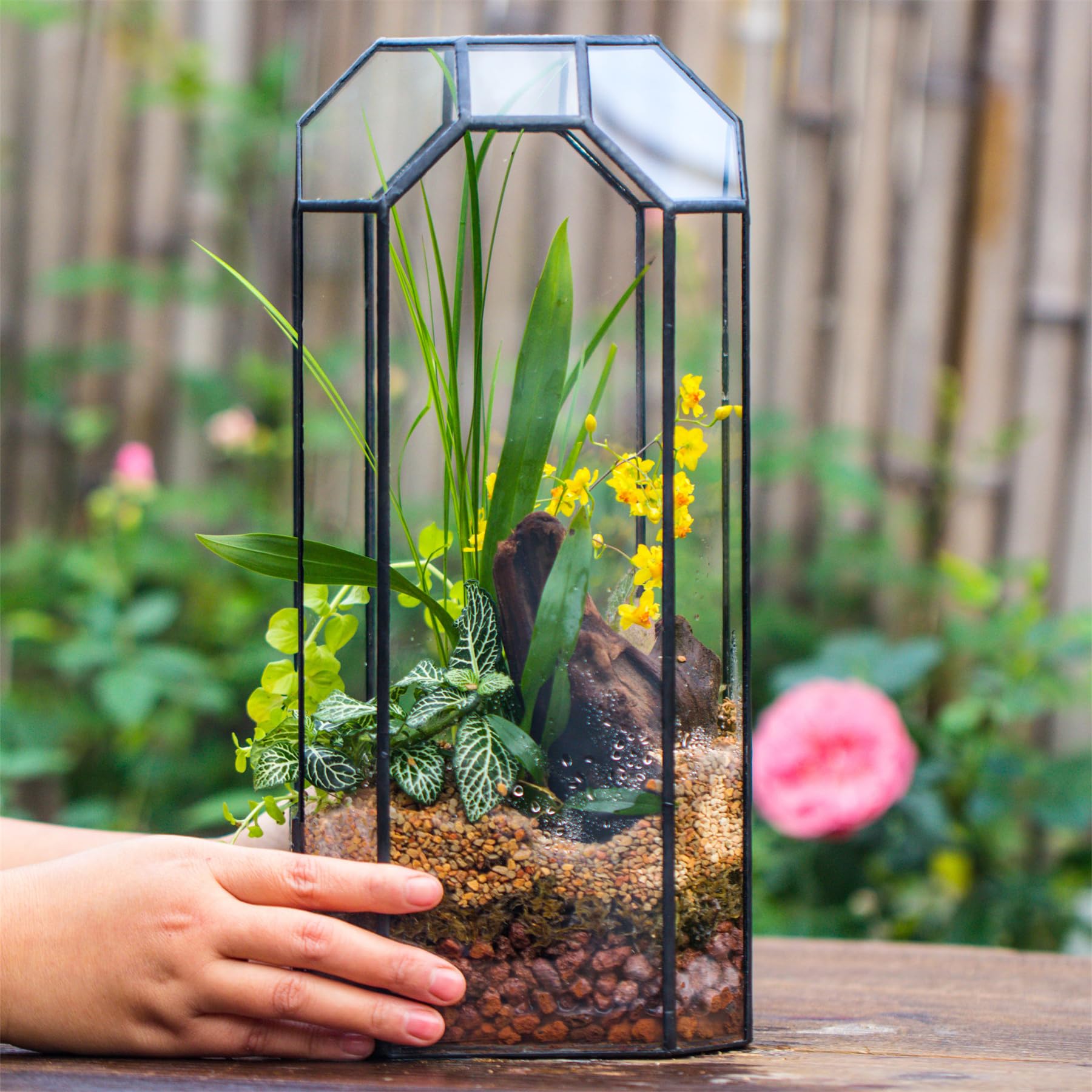 Octagon Hydroponic System