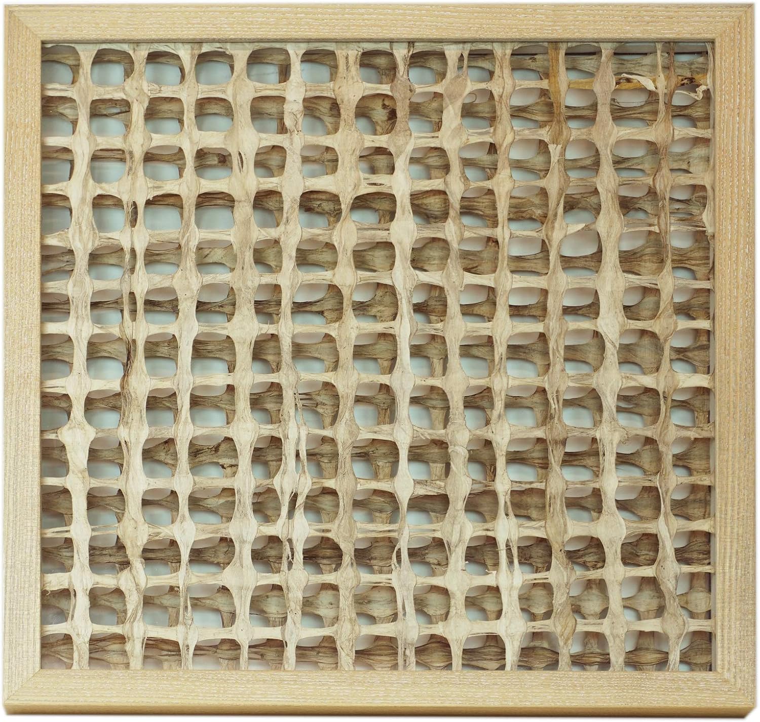 Amazon.com - Huji Papier-mâché Tree Root Shadow Box Wall Decor