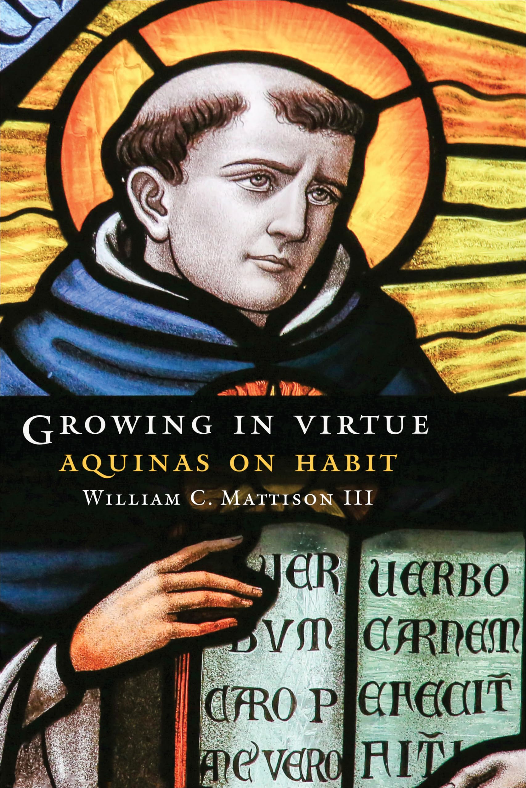 Growing in Virtue: Aquinas on Habit (Moral Traditions): Mattison III ...