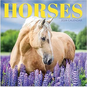 Amazon.com: TF PUBLISHING 2024 Horses Mini Calendar | Large Grids for Appointments and ...
