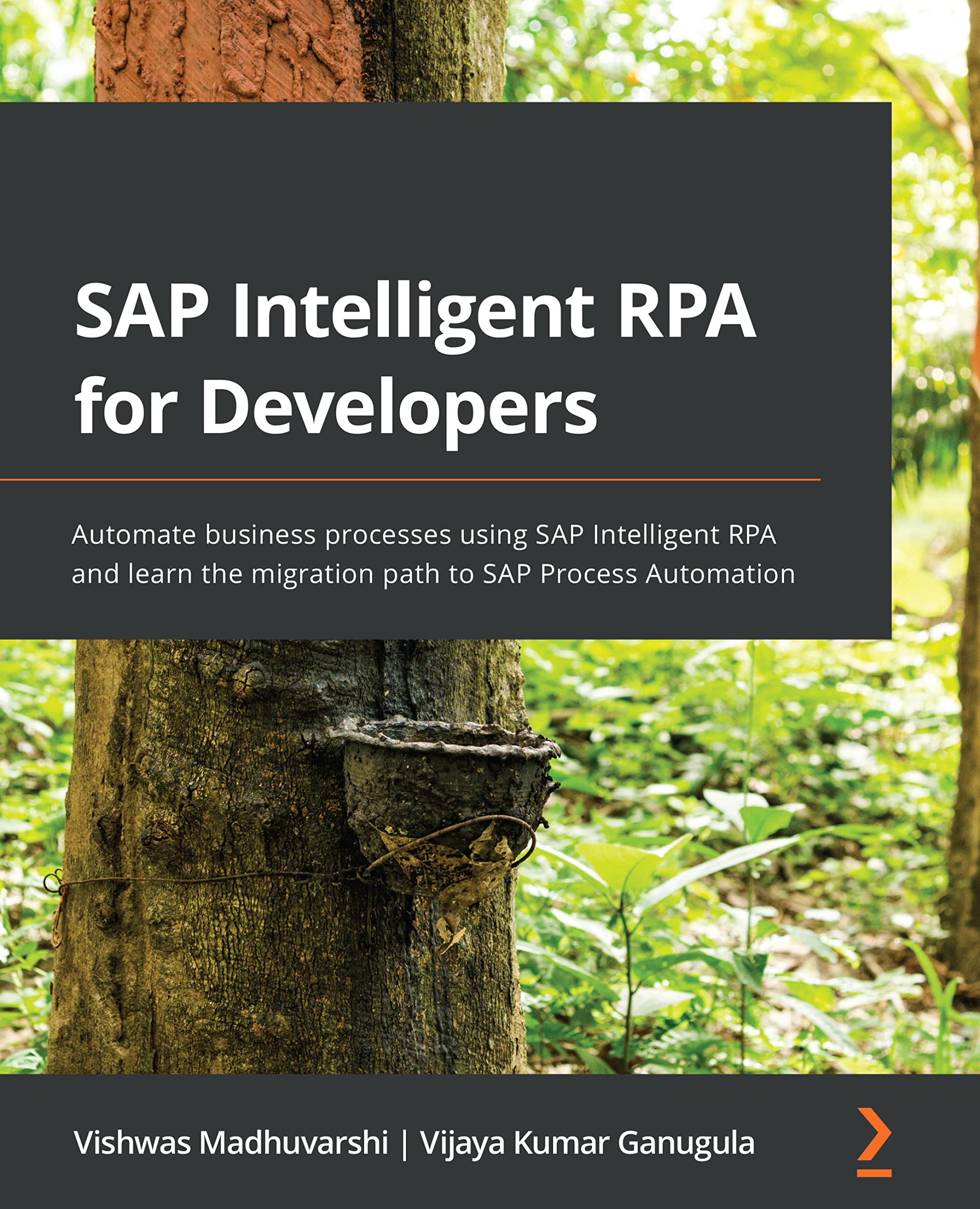 Sap Intelligent Rpa For Developers Automate Business Processes Using ...