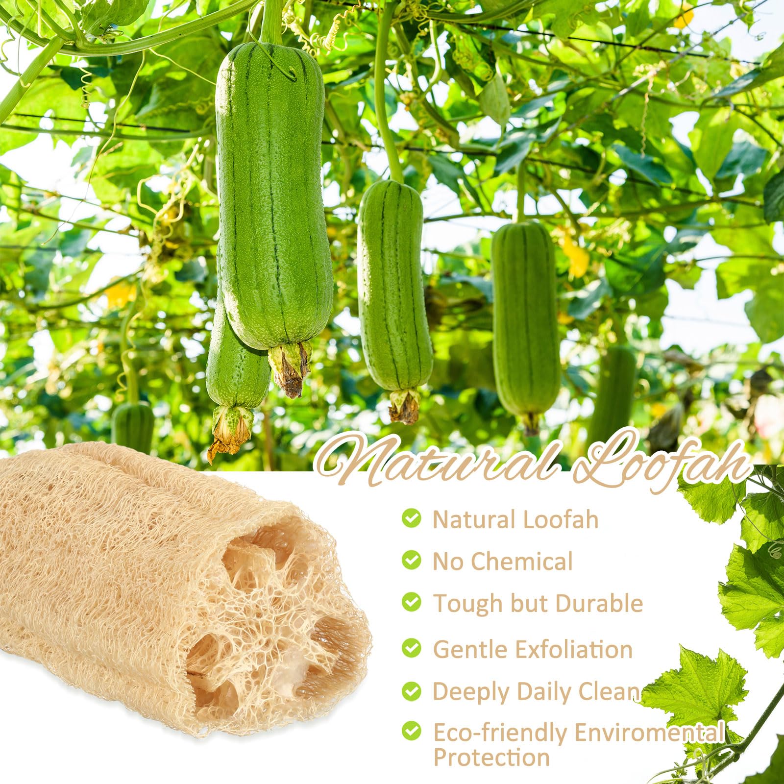Snapklik.com : Mifoci 6 Pcs Natural Loofah Sponge 12 Inch Luffa Bath ...