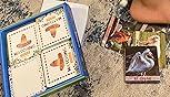 Amazon.com: 72 (36 Pairs) Spanish English Bilingual Animal Memory ...