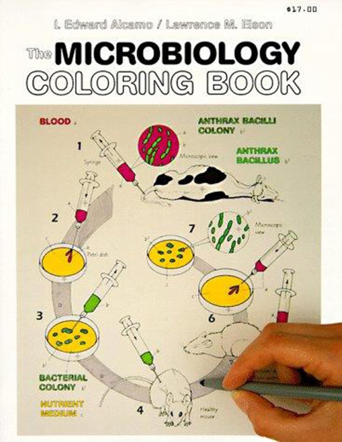 Amazon.com: The Microbiology Coloring Book: 9780060419257: I. Edward ...