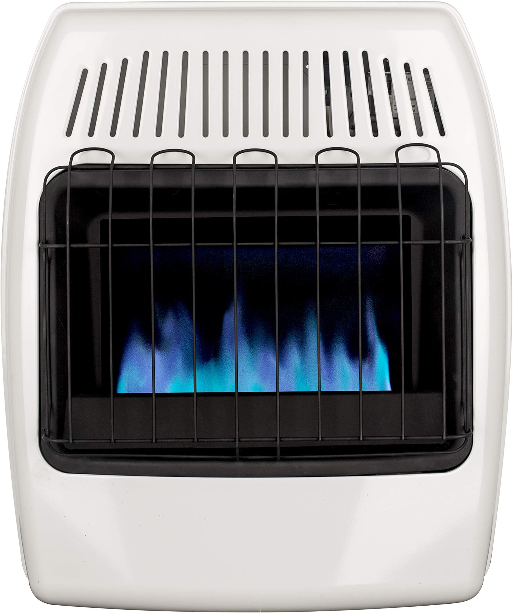 Amazon.com: Dyna-Glo BF20PMDG 20,000 BTU Liquid Propane Blue Flame Vent ...