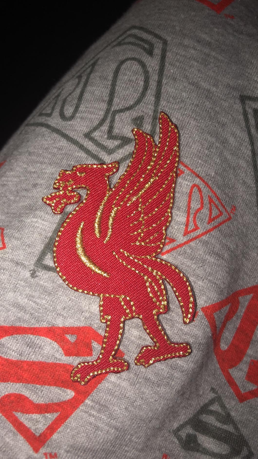 Sew-on Iron-on Embroidered Patch Liverpool Red Liverbird (Liver Bird ...