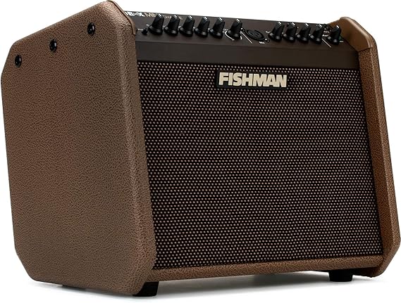 Fishman Loudbox Mini Charge 60-Watt Battery Powered Acoustic Combo Amp ...