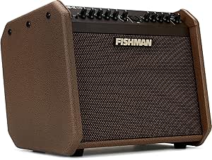 Amazon.com: Fishman Loudbox Mini Charge 60-Watt 1x6.5 Inches Battery ...