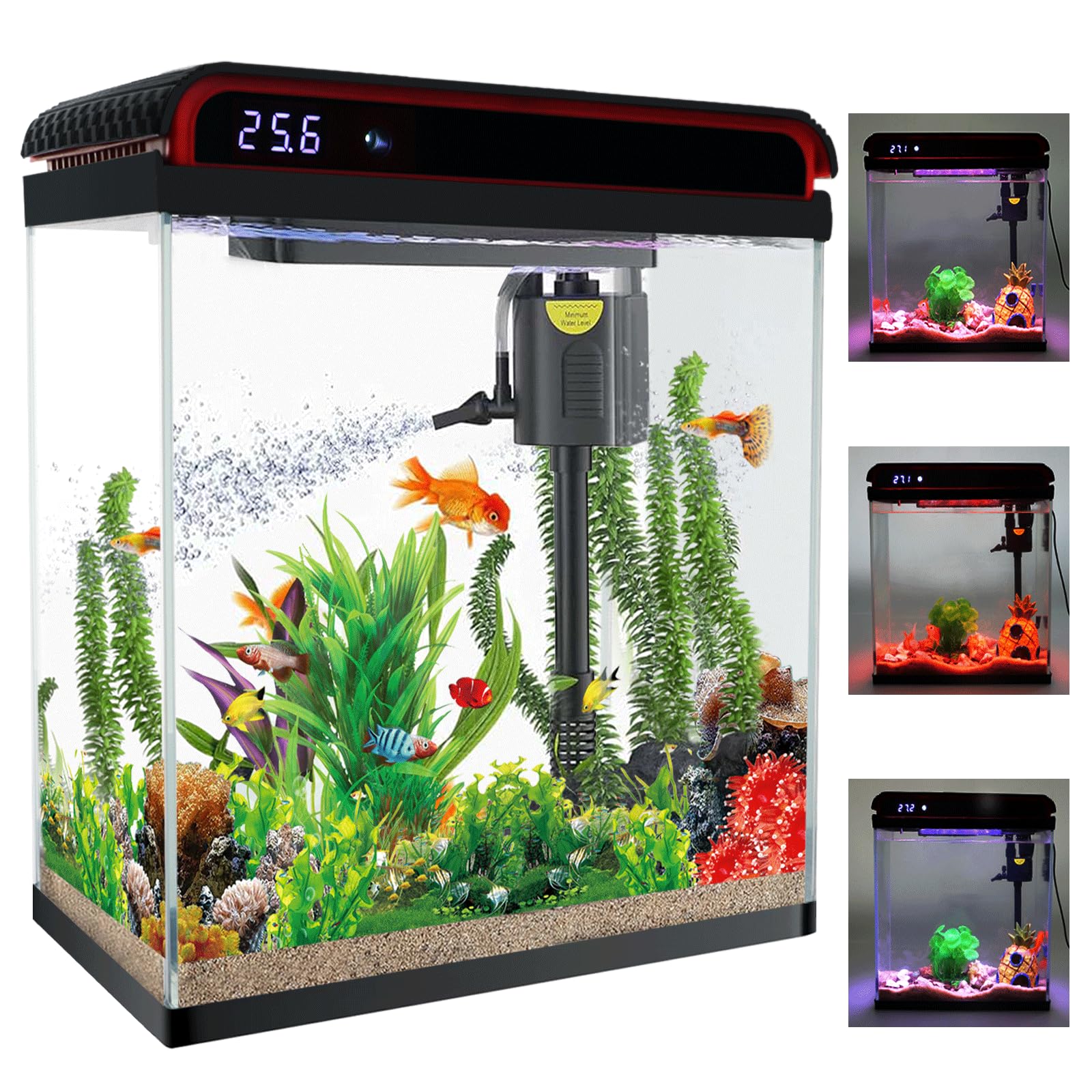 Amazon.com : 10 Gallon Fish Tank, Betta Fish Tank Small Aquarium ...