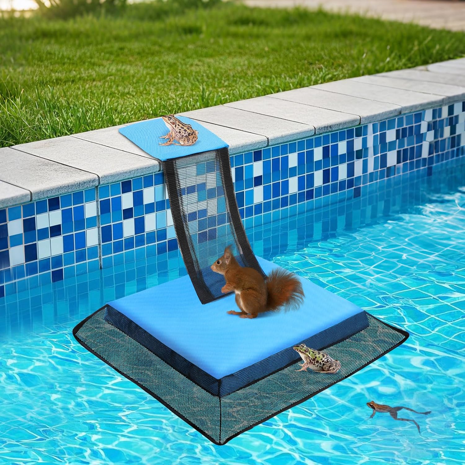 Amazon.com : Weallere Animal Saving Escape Ramp, Animals Saver for ...