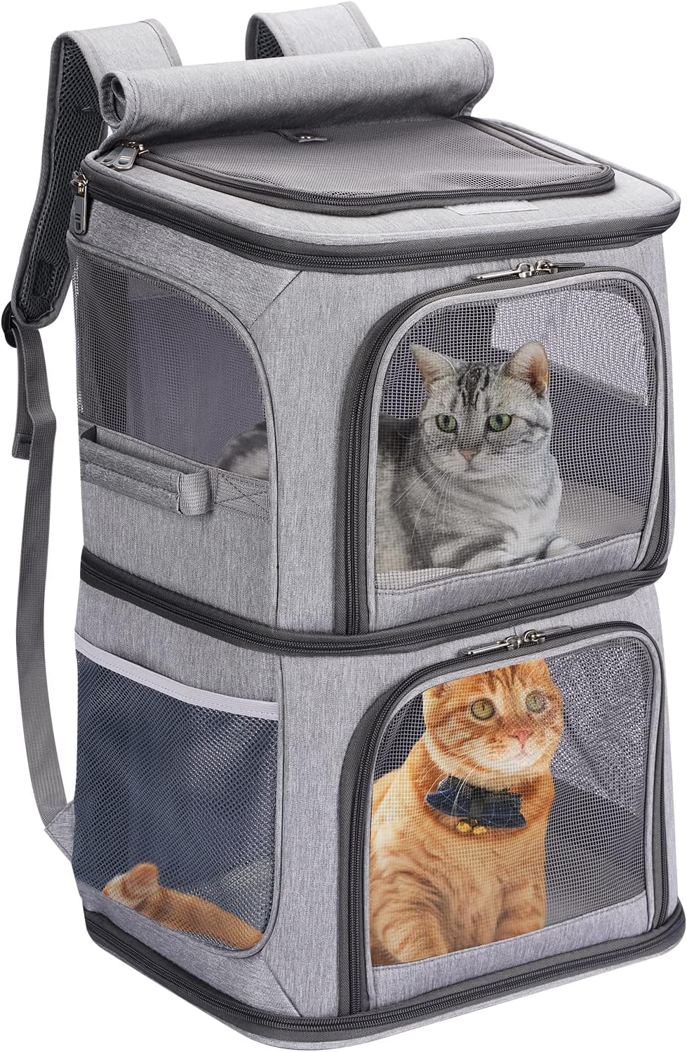Amazon.com : Jenified Double Pet Backpack Compartment Detachable Small ...