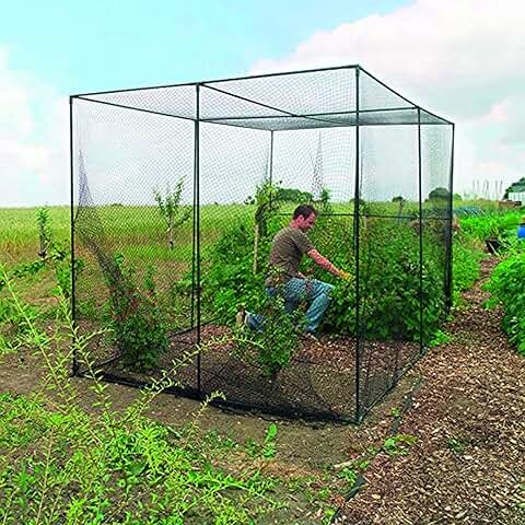 Amazon.com: blueberry cage