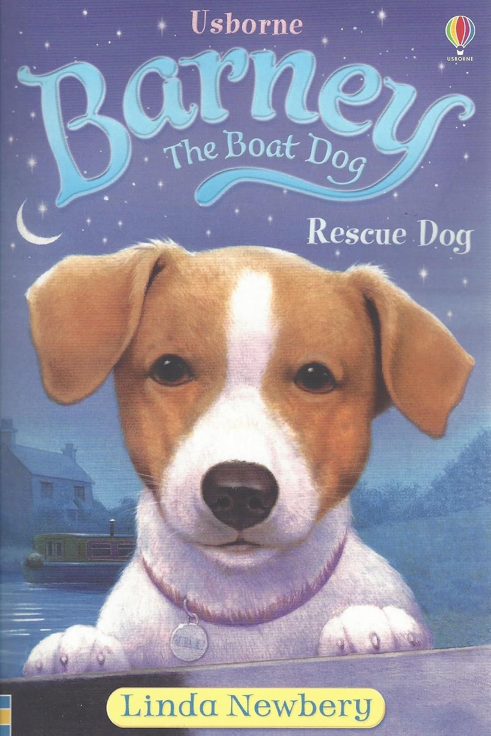 Rescue Dog: Linda Newbery: 9781409522027: Amazon.com: Books
