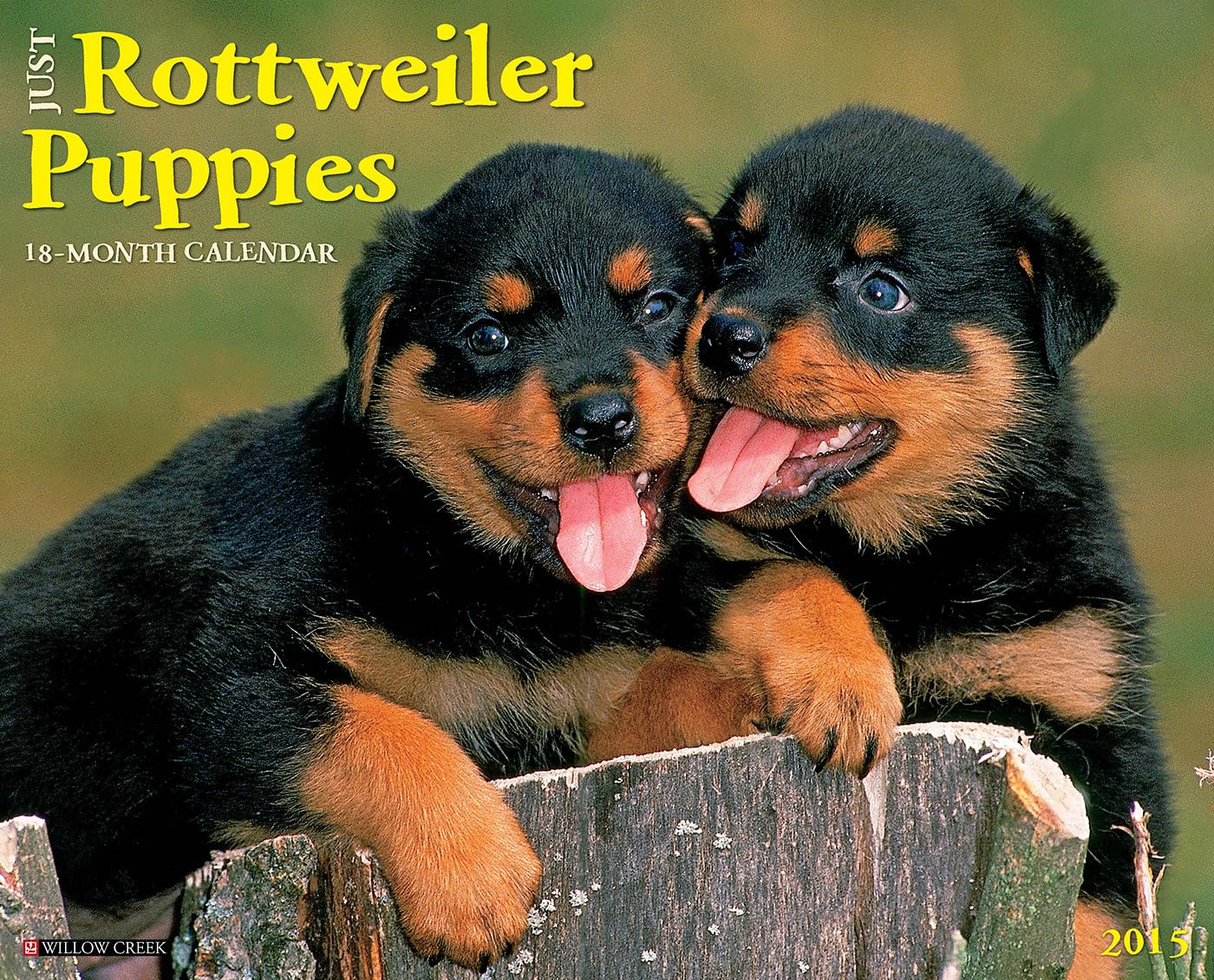 Rottweiler Puppies 2015 Wall Calendar: Willow Creek Press ...