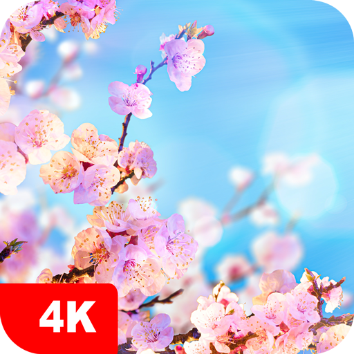 Spring Wallpapers and Backgrounds apps 4k - App on Amazon Appstore