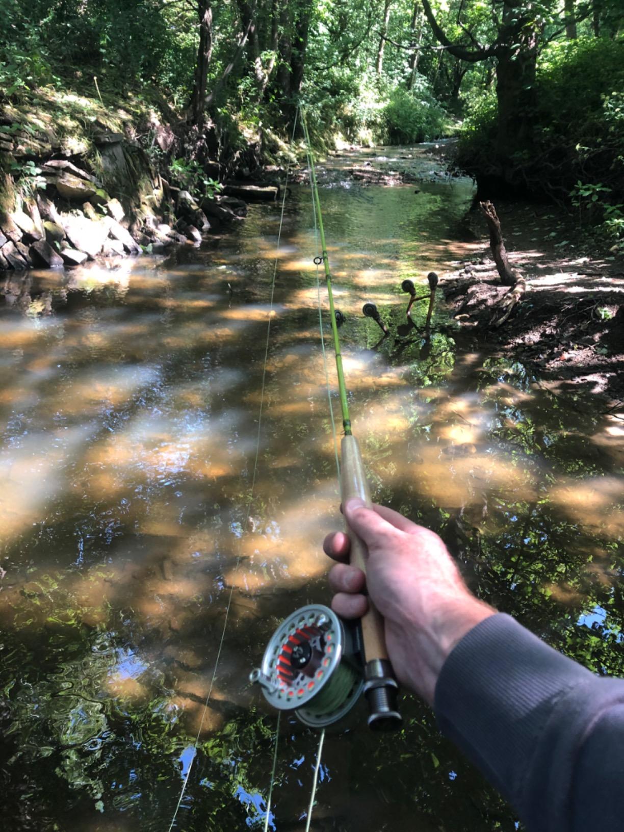 MAXIMUMCATCH Maxcatch Ultra-Lite Fly Rod for Stream River Panfish/Trout ...