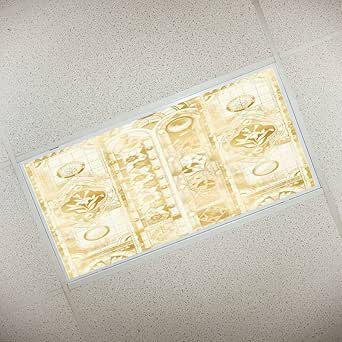 AT5ZR4PD Fluorescent Light Decorative Covers for Classroom Office ...