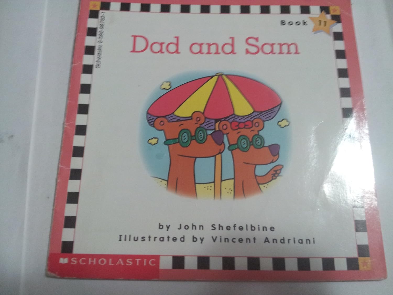 Dad and Sam (Scholastic Phonics Readers, Book 11): John Shefelbine ...