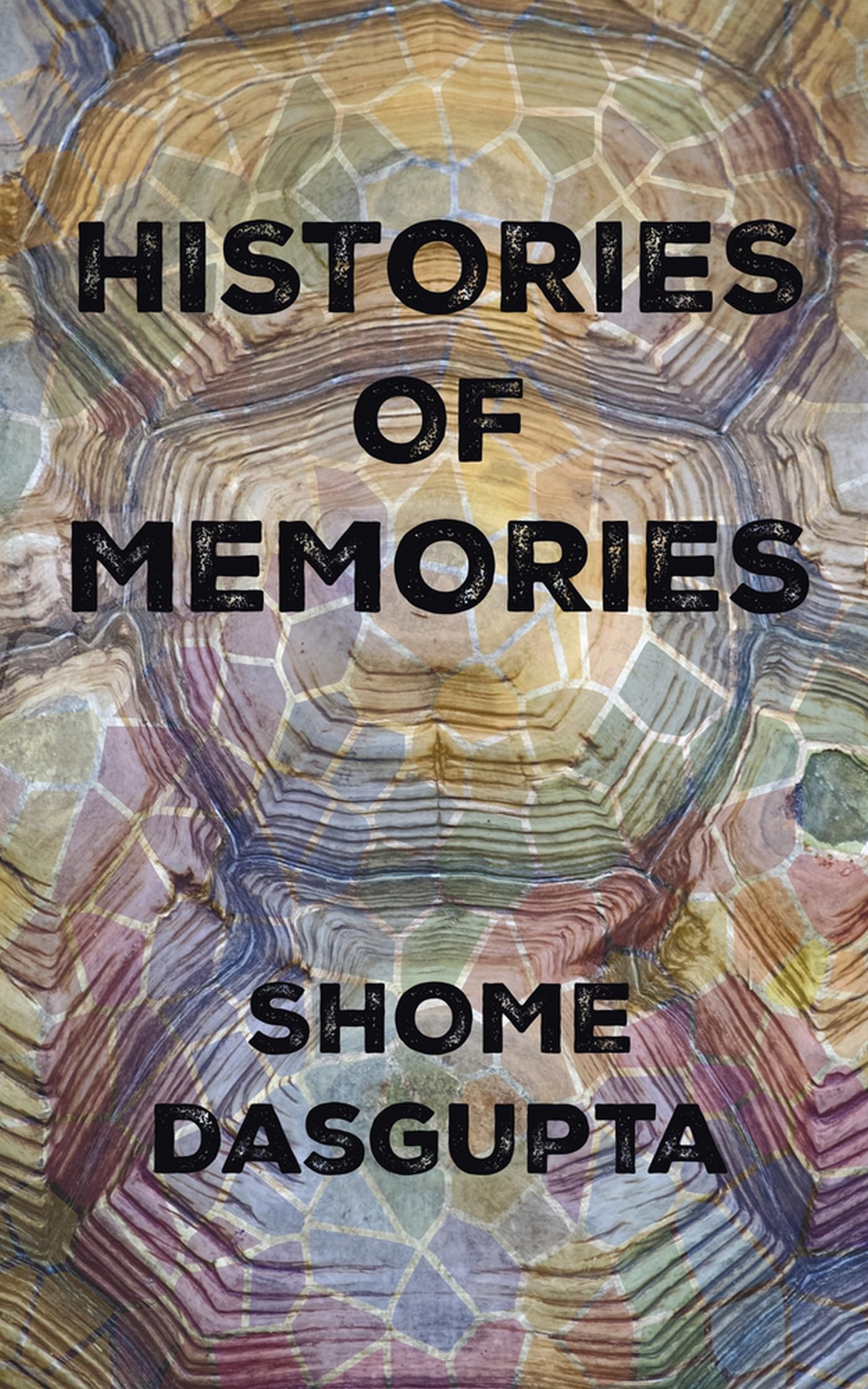 Histories of Memories: Dasgupta, Shome: 9781960215086: Amazon.com: Books