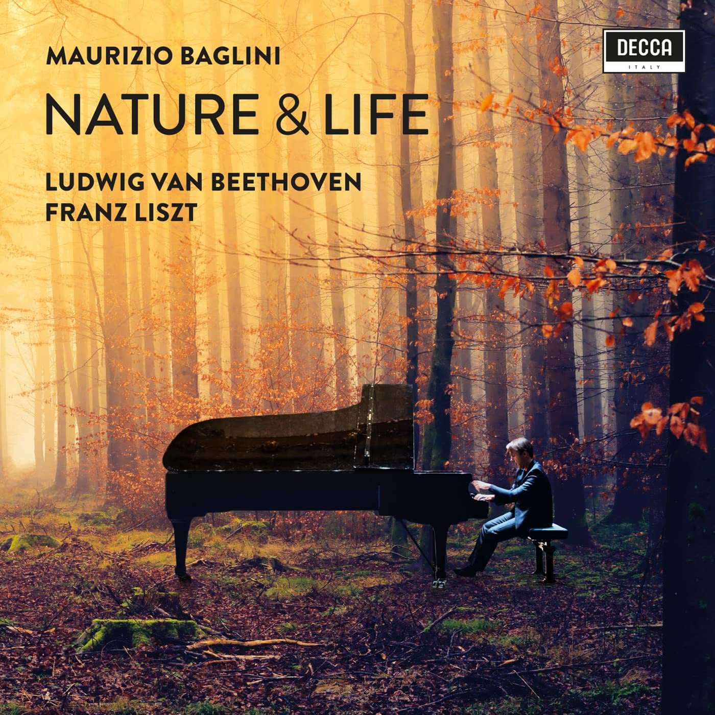 Beethoven: 6 Variations in D Major, Op. 76: Theme (Allegro risoluto ...