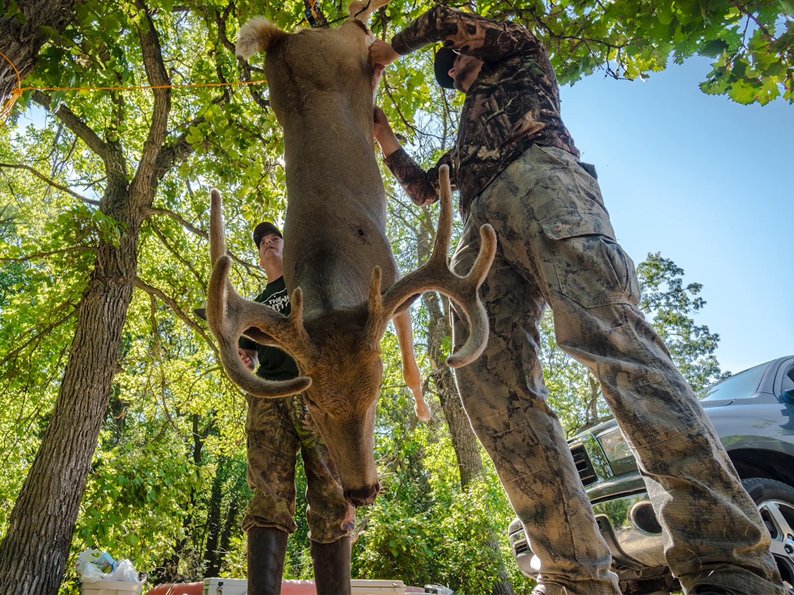 Watch The Hunting Public | Prime Video