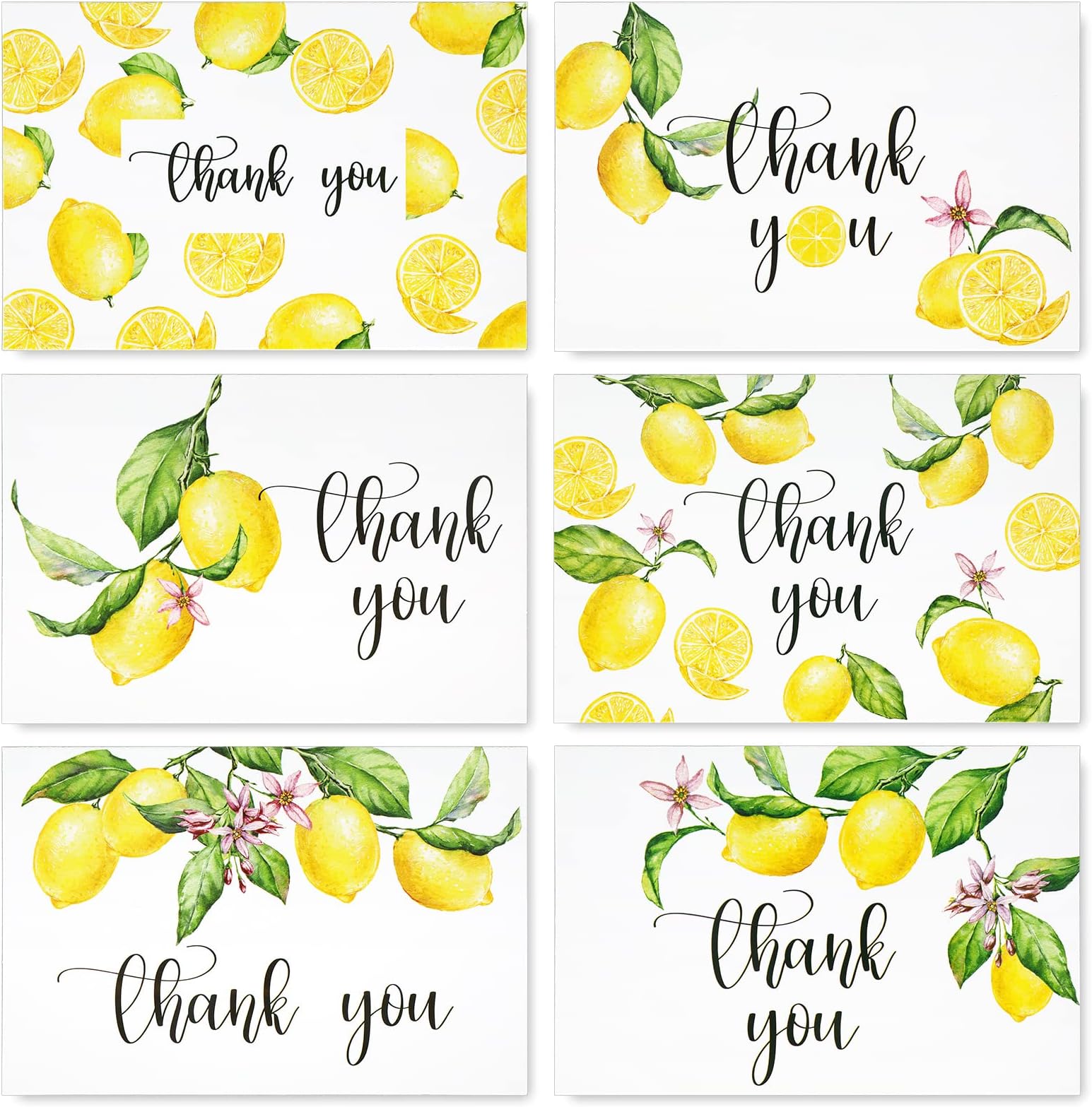Amazon.com : Biely & Shoaf Lemons Thank You Boxed Notes, 10 Cards ...